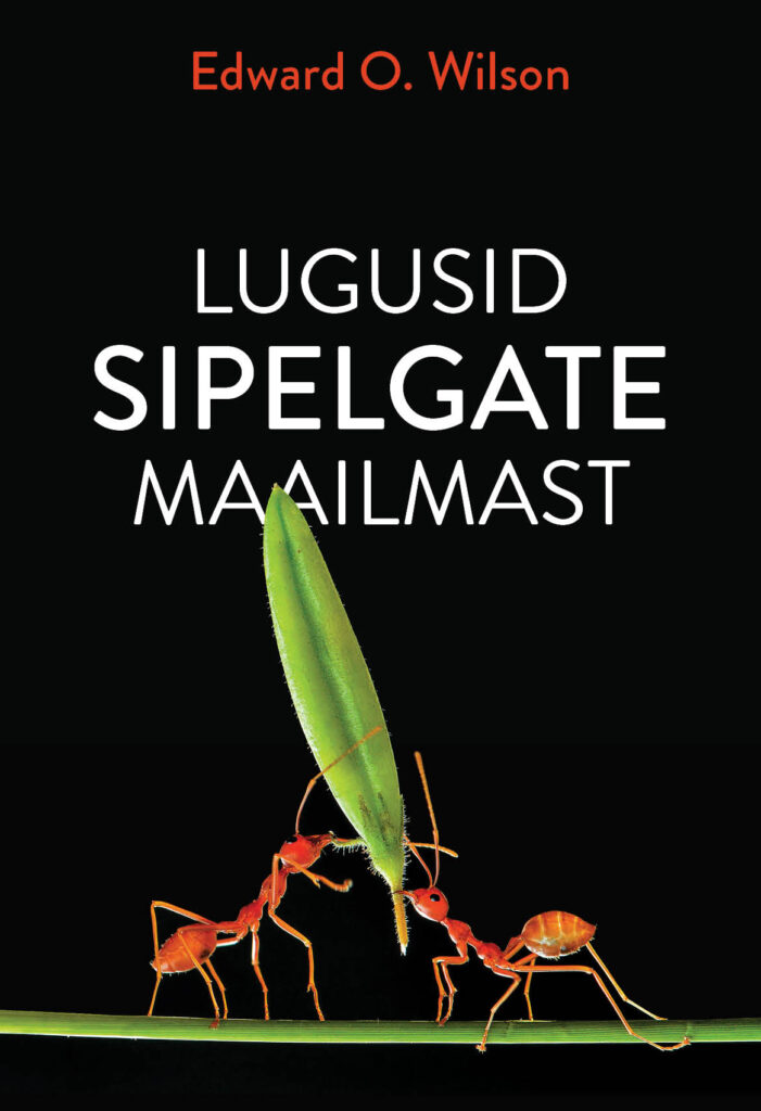 Lugusid sipelgate maailmast - Kirjastus Argo
